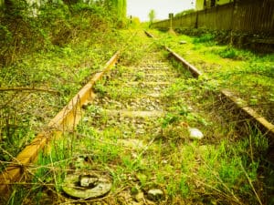 Railroad Vegetation Management: A Crucial Clean-Up Service that Keeps ...