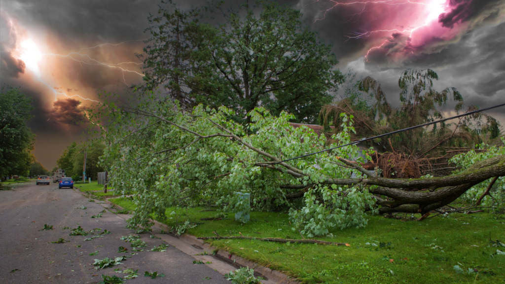 Storm Predictions and Equipment Needs - Custom Truck One Source