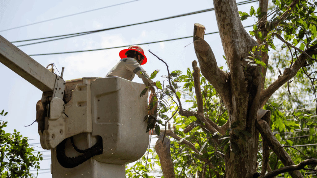 Top 10 Tools for Linemen - Custom Truck One Source